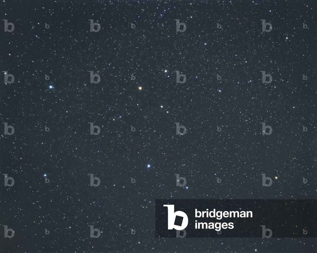 Image of Pegase Constellation - Constellation of Pegasus - Pegasus ...