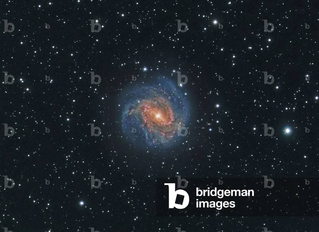 Image of Spiral Galaxy M83 in Hydra - Spiral galaxy M83 in