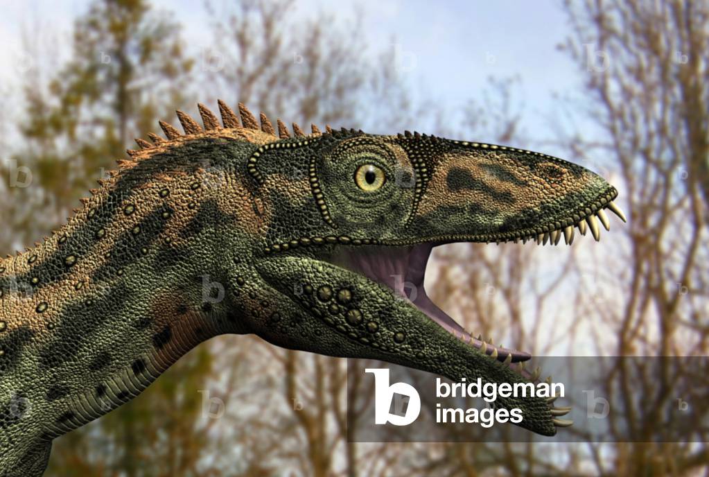 Masiakasaurus Animal Facts Masiakasaurus Knopfleri A-Z, 51% OFF