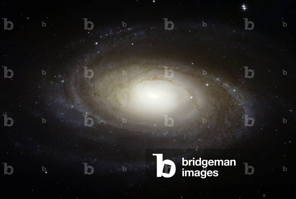 Image of Spiral galaxy M81 seen by the Hubble space telescope