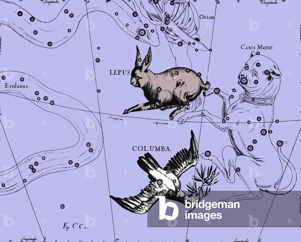 Image of Constellations of Hare and Dove - Constellations of Lepus and