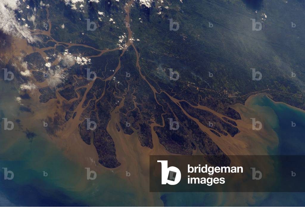 Image of Borneo - Delta du fleuve Mahakam - Borneo - Mahakam