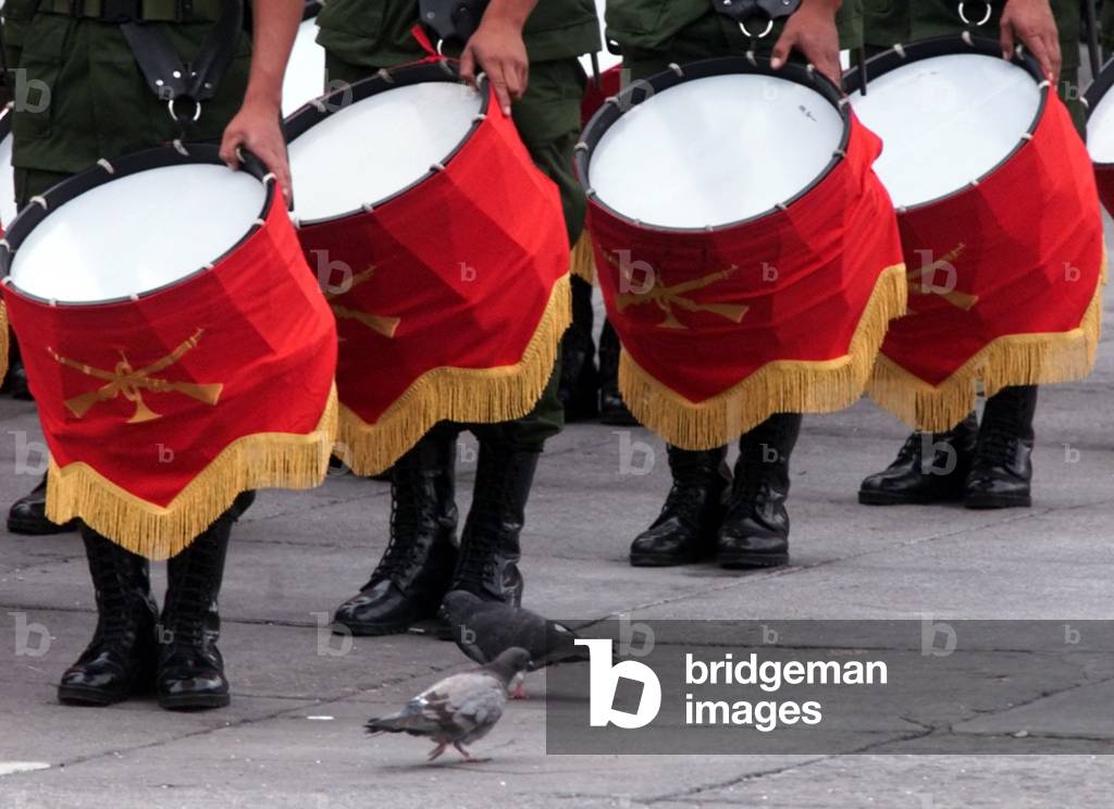 Image of TWO PIGEONS WALK AROUND SOLDIERS IN LINE DURING MILITARY PARADE`TO