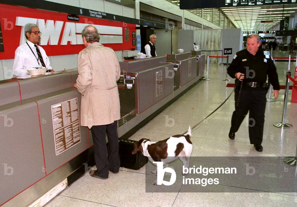 Image of Chicago police officer Ed King works his bomb sniffing dog