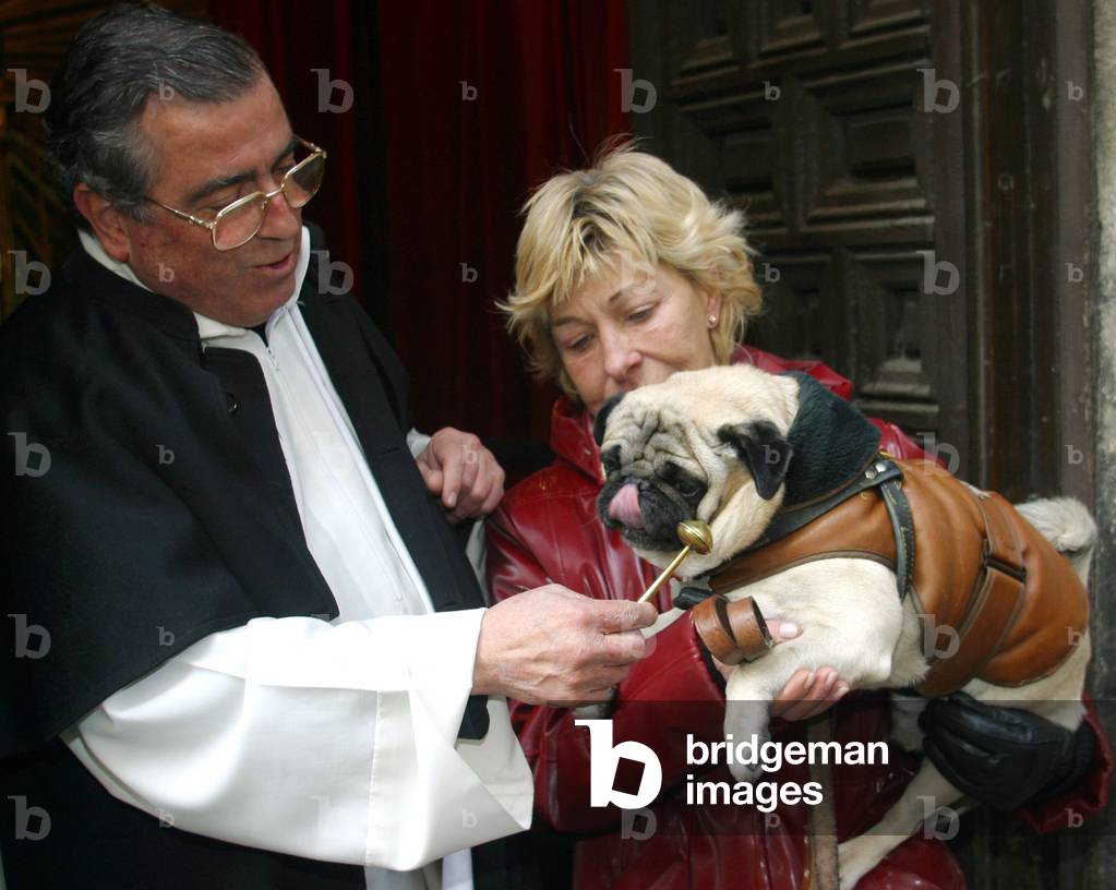 Image of PRIEST BLESSES A DOG DURING SPAIN'S PATRON SAINT OF ANIMALS