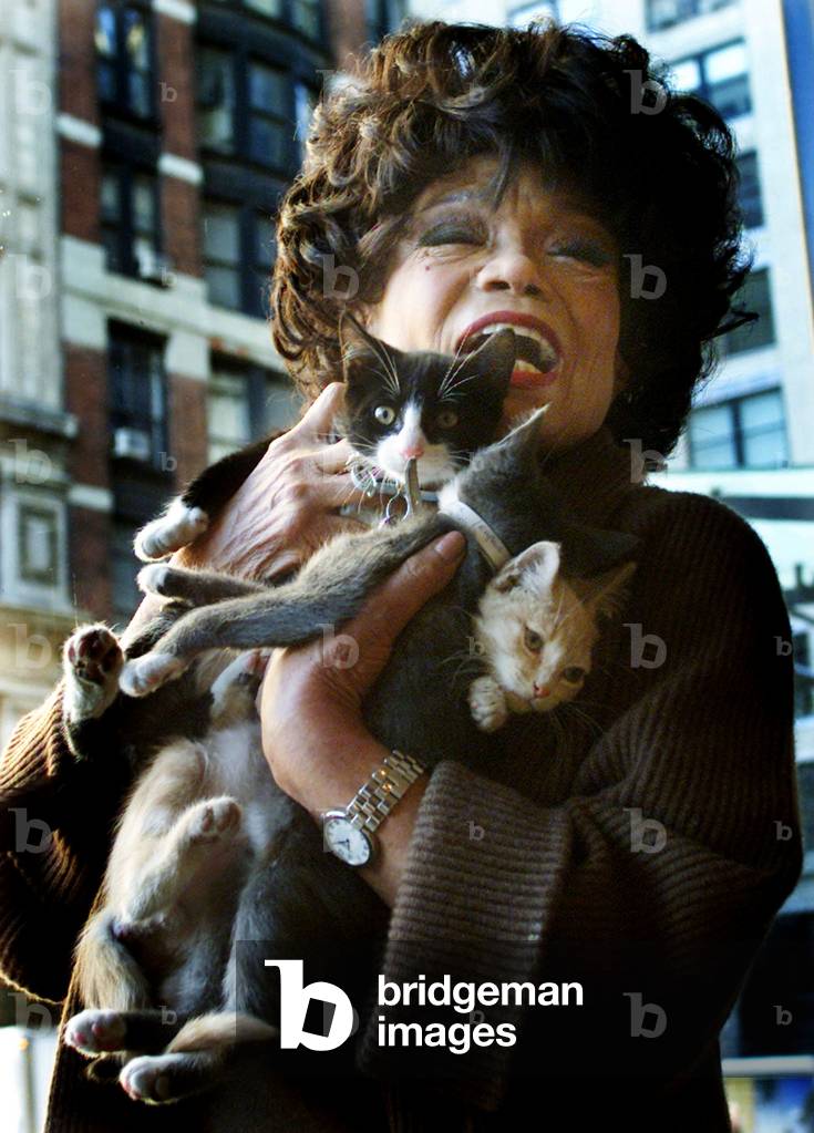 Image of U.S. Singer and actress Eartha Kitt poses with three kittens