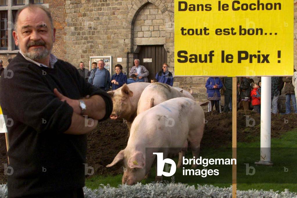 Image of FRENCH PIG FARMERS DEMONSTRATE IN NORTHERN FRANCE, 1998-11-06 ...