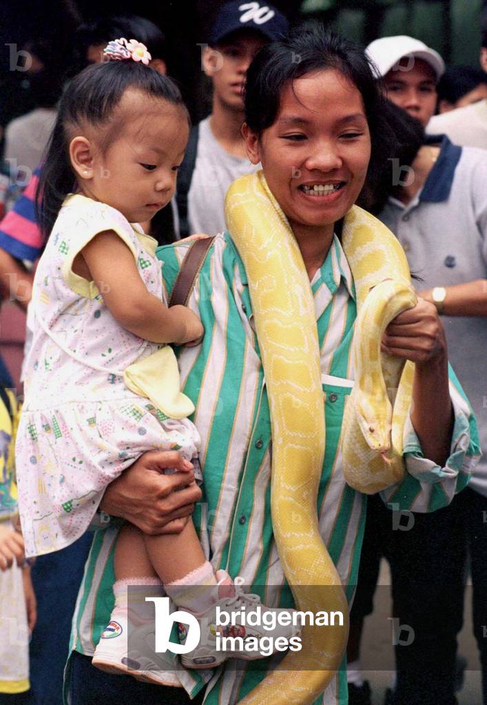 Image of A FILIPINA MOTHER PLAYS WITH A 12-FOOT INDIAN PYTHON IN