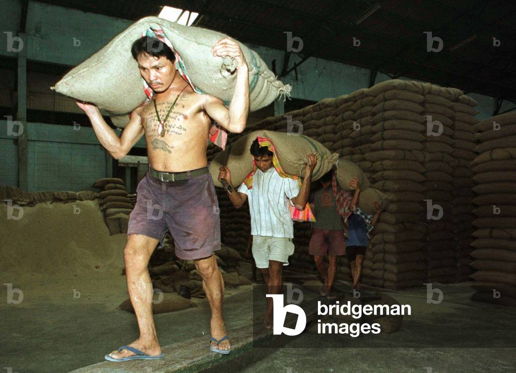 Image of THAI WORKERS CARRY RICE SACKS AT A WAREHOUSE IN BANGKOK,