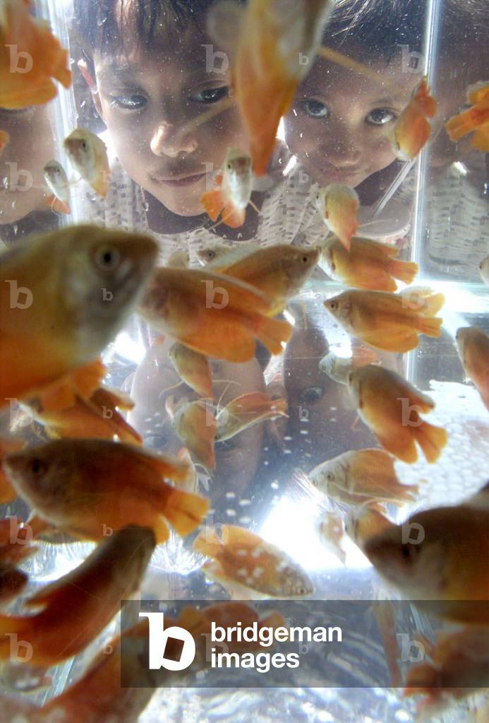 Image of Muhammad Hanafi, 6, and his twin brother Muhammad Hambali, look