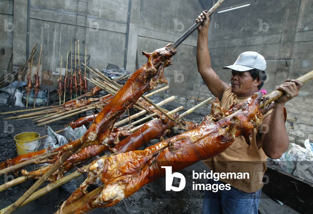 Image of A FILIPINO ARRANGES ROASTED PIGS IN THE PHILIPPINE CAPITAL MANILA