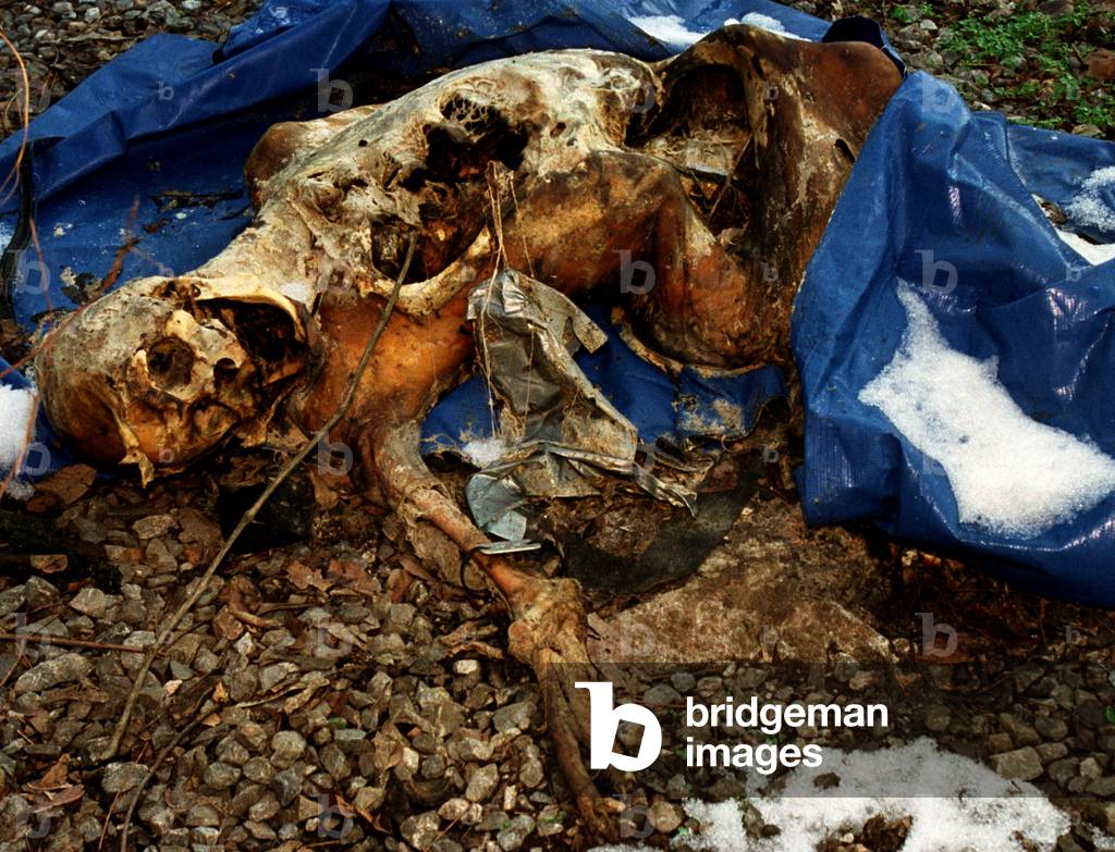 Image of A VIEW OF ONE OF MORE THAN TWENTY BODIES AT