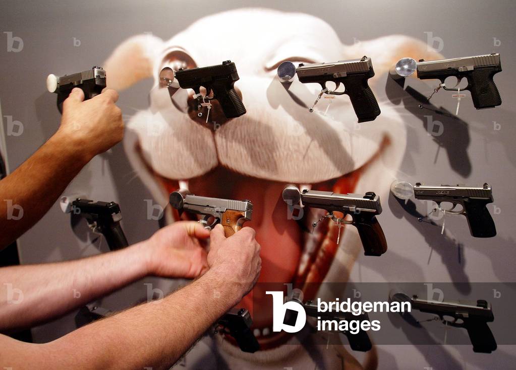 Image of People grab for guns on a dog face display at