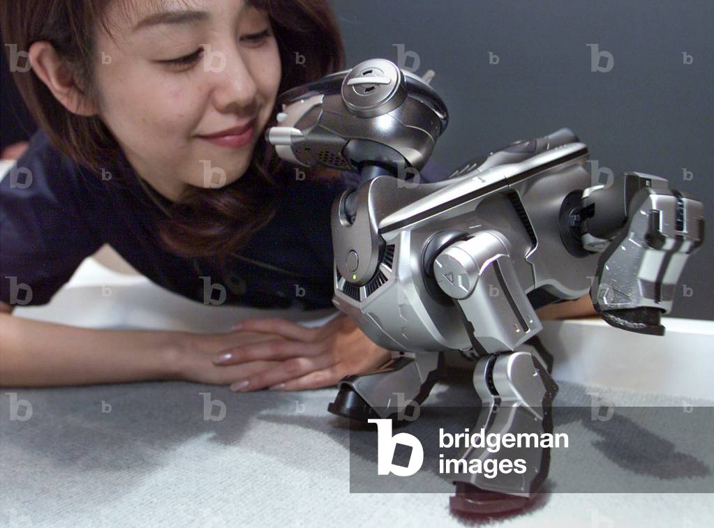 Image of SONY'S NEW AIBO ENTERTAINMENT ROBOT UNVEILED IN TOKYO, 2001-11 ...