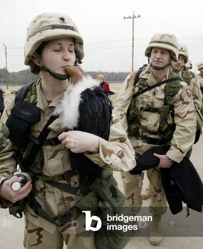 101st Airborne Division Iraq