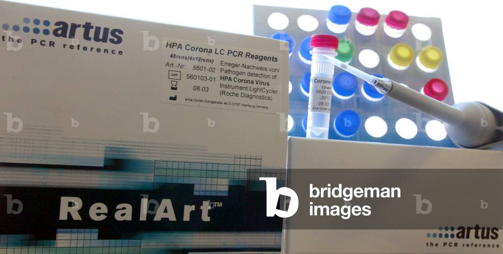 Image of PICTURE SHOWS A DETECTION TEST FOR THE HIGHLY CONTAGIOUS ...