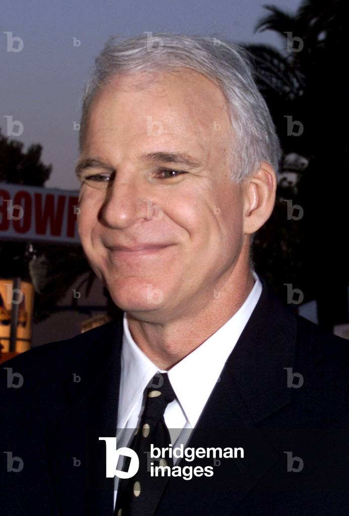 Image of Actor Steve Martin, star of the new comedy film