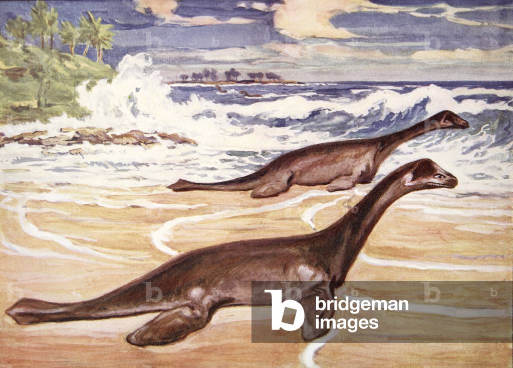 Image of Plesiosaurs on a Mesozoic beach, reproduced in 'The Outline of ...