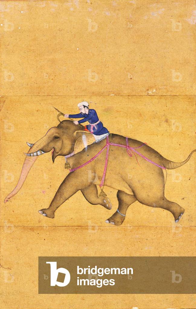 Image of A Mahout riding an Elephant, from the Large Clive Album by ...