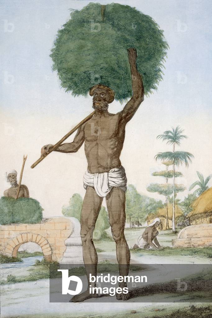 Hindu Servant Cutting Grass The Hindus Or The Description Of Their 