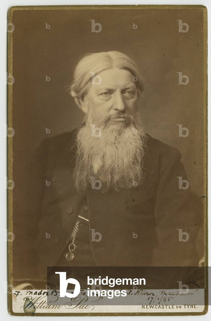 Images of artwork by William Pae (19th century) from Bridgeman Images