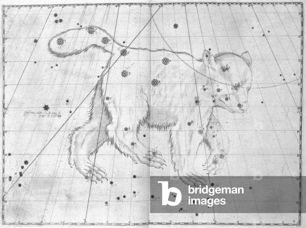 Image of The constellation Ursa Major, 1603
