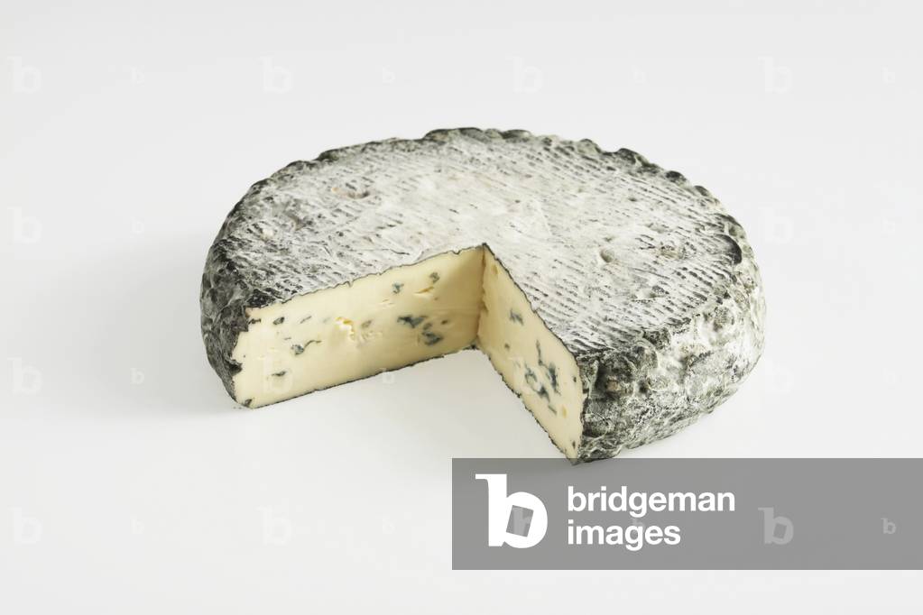 Disc of French Cremeux du Puy cowÍs milk blue cheese by
