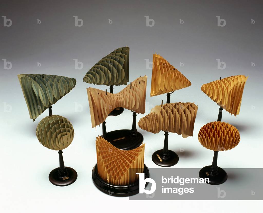 Image of Mathematical Models, 20th Century Cardboard models of Second ...
