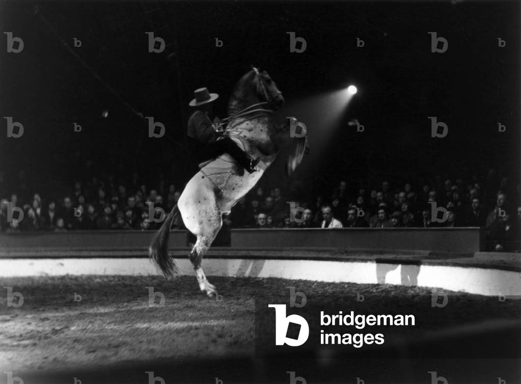 Image of "Circus performer riding on a rearing horse", vers 1930