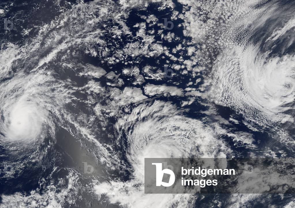 Pacific Ocean Hurricane Damage