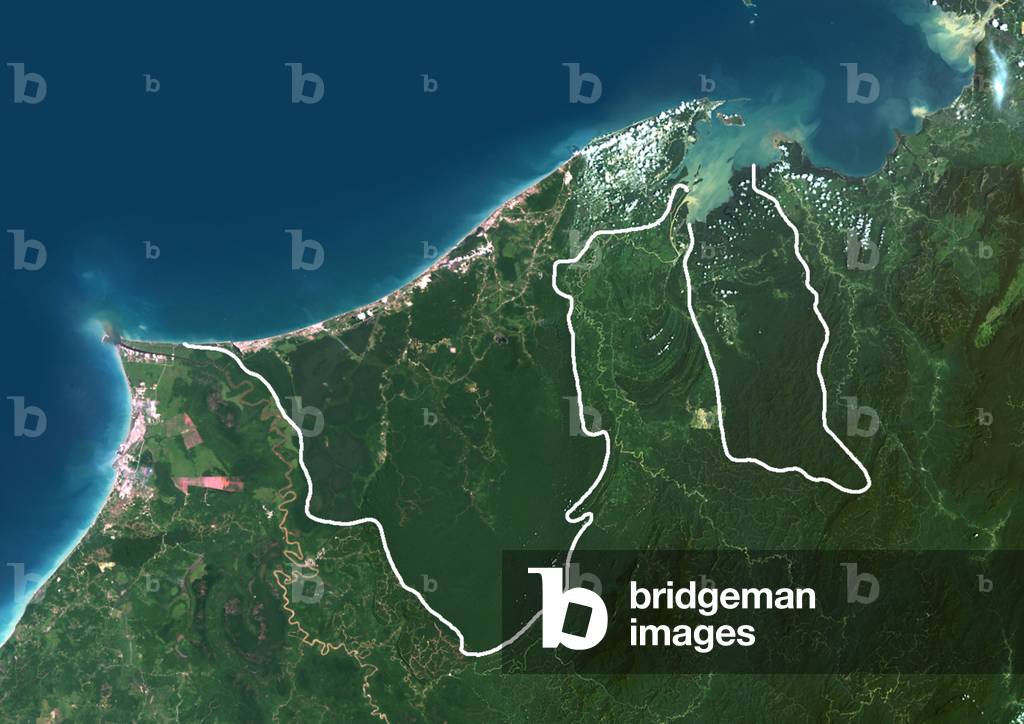 Image of Brunei, Asia, True Colour Satellite Image With Border ...