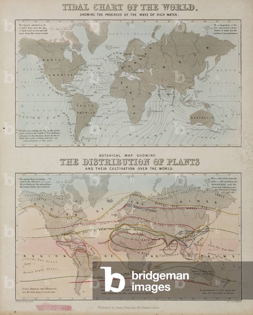 Image of A tidal chart and a map of the distribution of