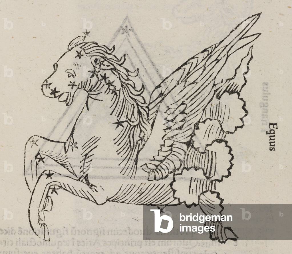 Image of The constellation of Equus, 1488