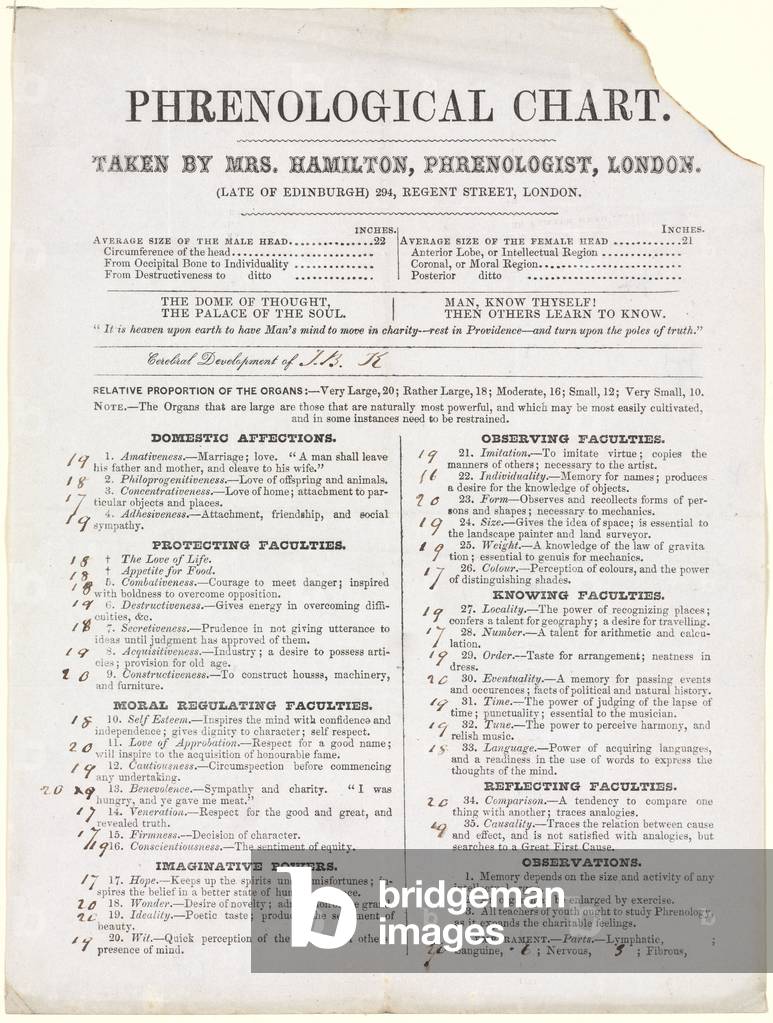 Image of Phrenology Phrenological chart, mid 19th century