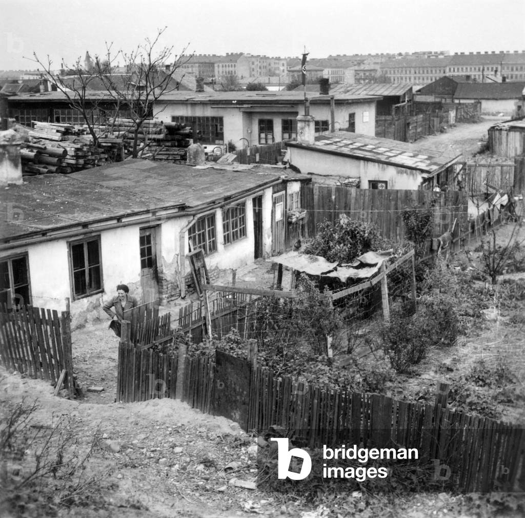 Image of Austria : Slums in Vienna - 1930s