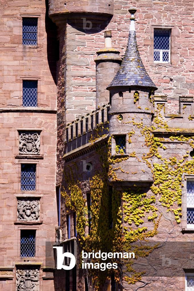 Image of Scotland, Angus, Glamis Castle, vines on exterior walls of 11th