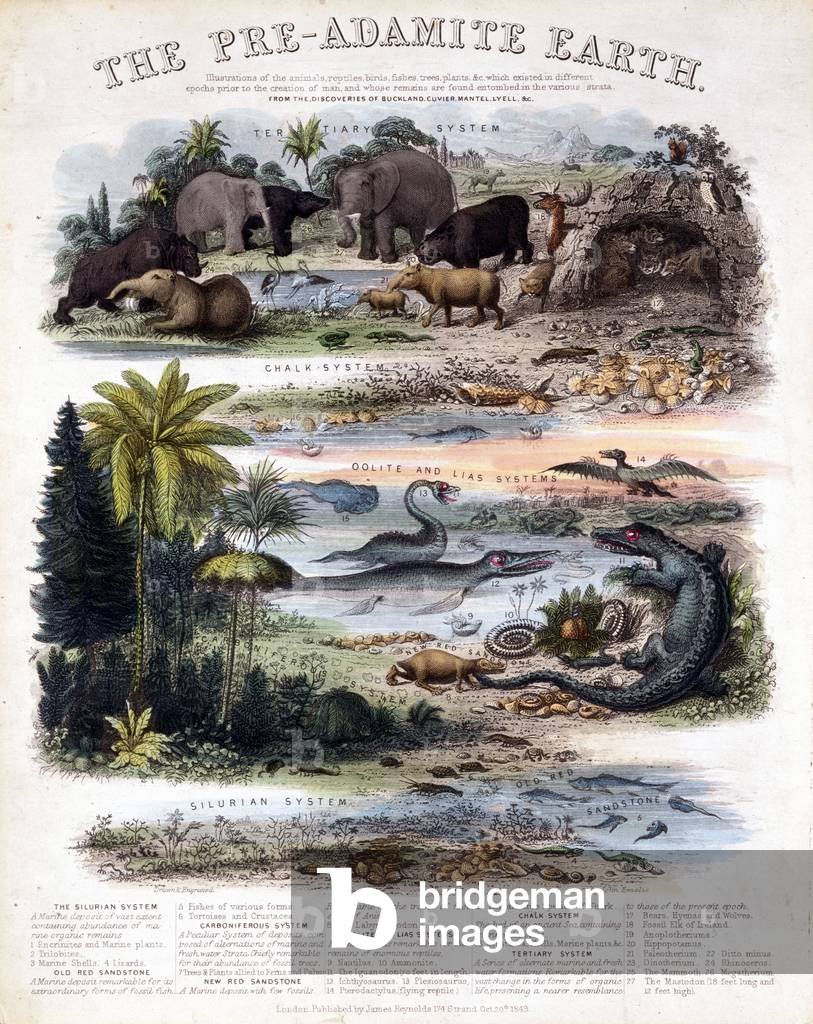 Image of The Pre-Adamite Earth', 1849