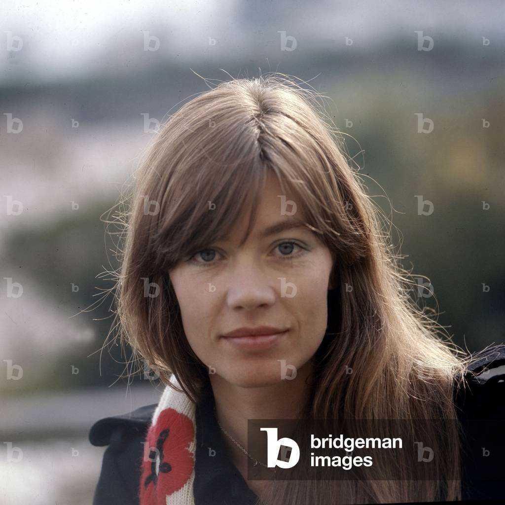Image of French singer Francoise Hardy, Germany 1977 (photo)