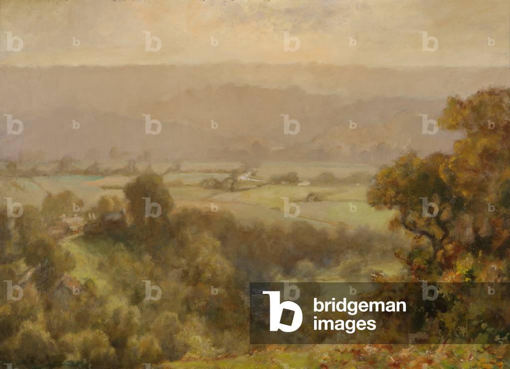 Harry William Adams(1868-1947)