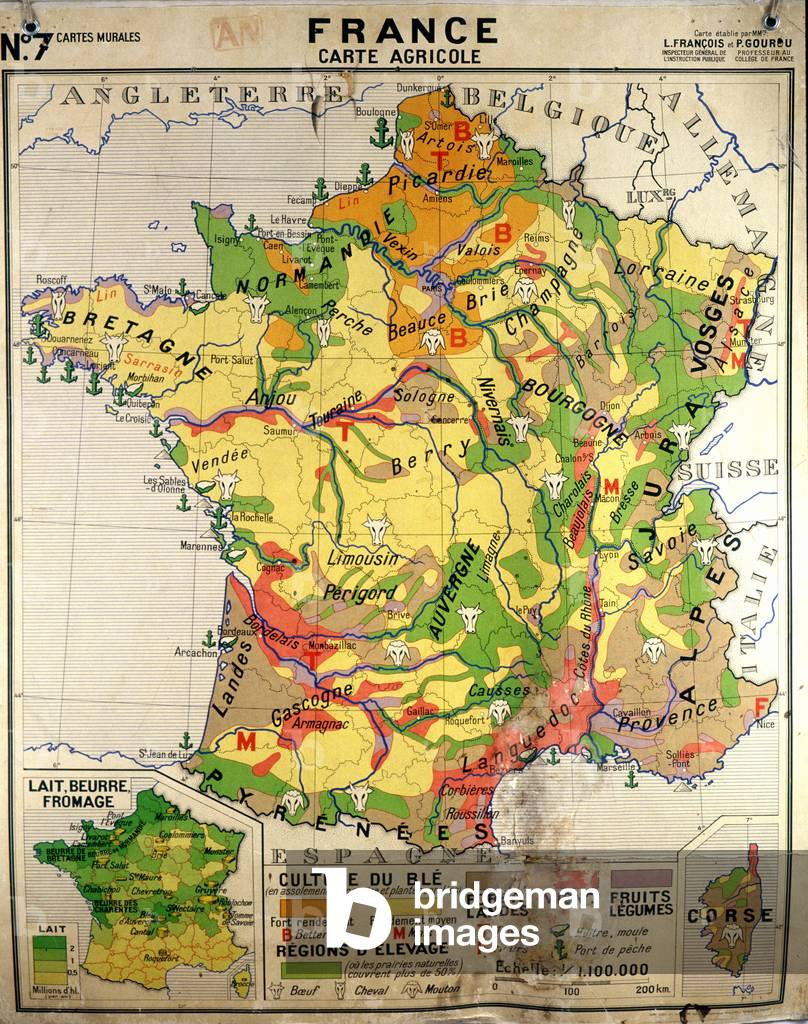 Image of Wall map of agricultural France in 1950. by Unknown Artist ...
