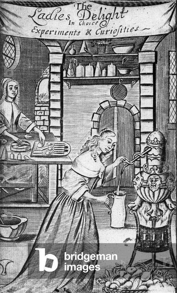 Image of Illustration from 'The Ladies Delight in choice experiments ...