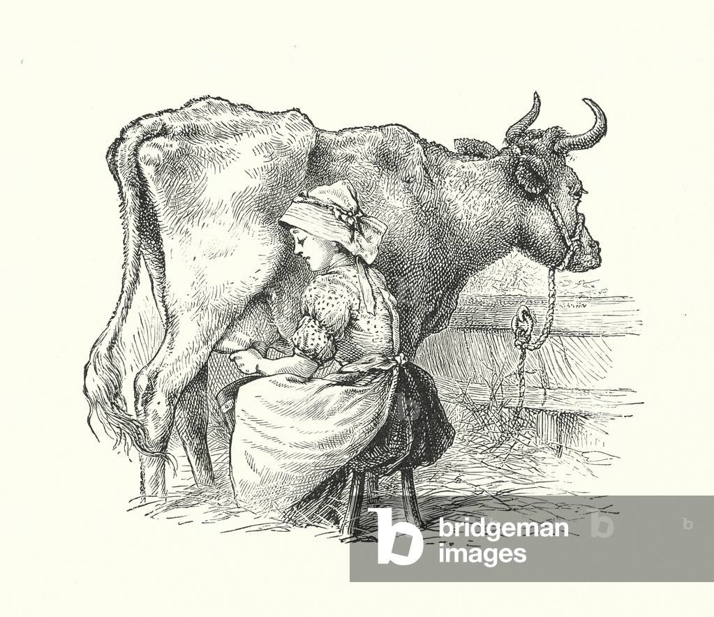 Image of Milkmaid milking a cow (engraving) by English School, (19th ...