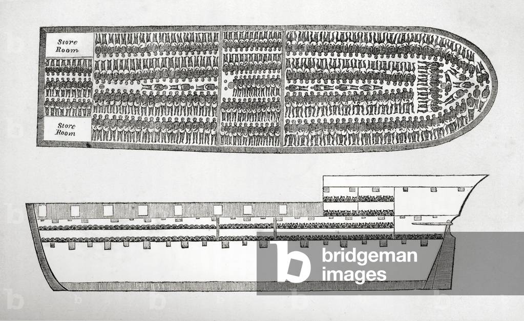 Image of Plan showing how Slaves were transported on board a Slave by ...