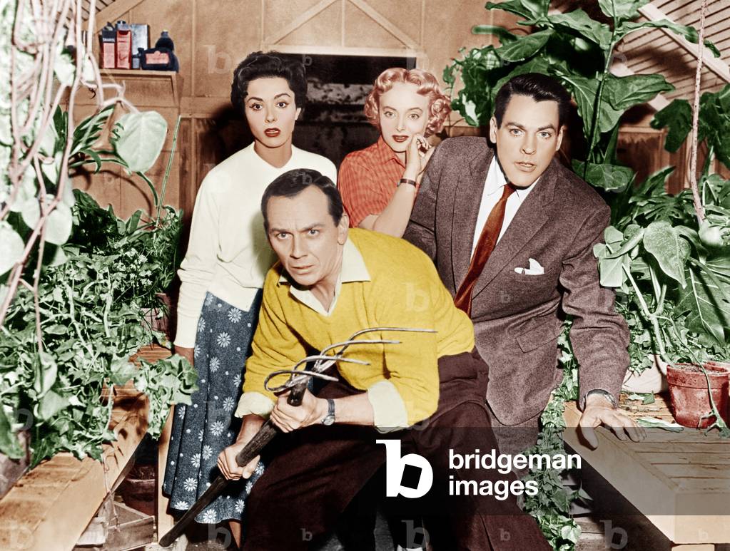 King Donovan Invasion Of The Body Snatchers One Of My Childhood