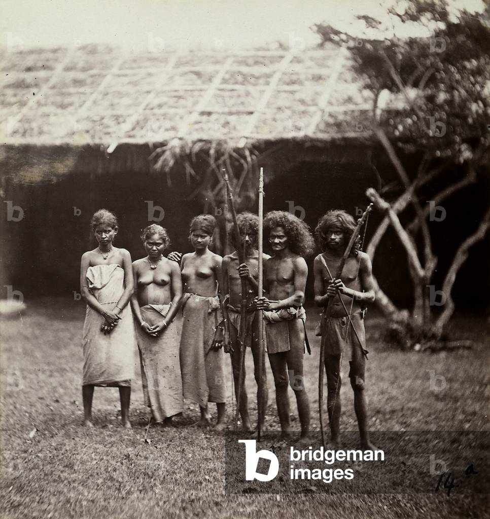 Image of A souvenir of Odoardo Beccari's journeys: a group of Sri