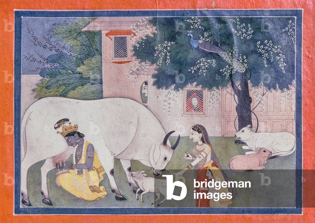 Image of Krishna milking a cow, 8th Incarnation of Vishnu, Garwhal School,