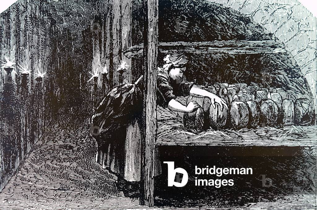 Image of The turning of Roquefort cheeses in the caves where they
