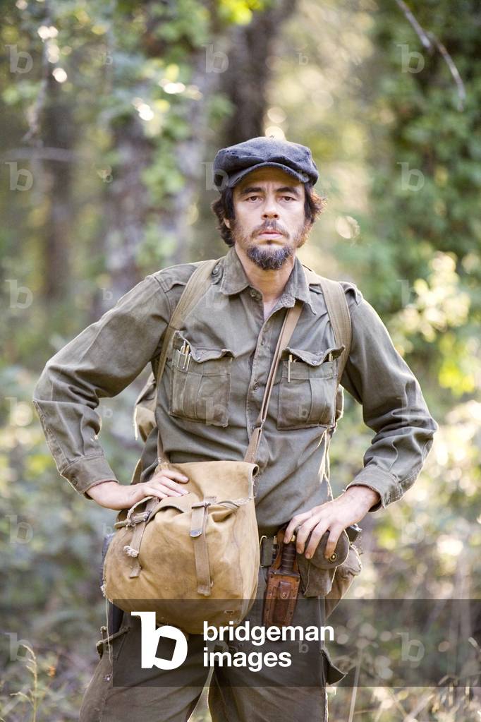 Image of Qu'est-ce que Guerrilla