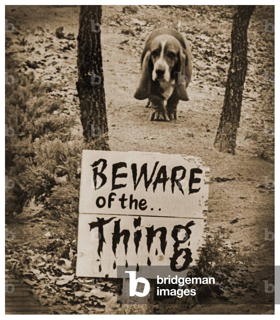 Image of Beware of the Dog (Thing) sign, Oklahoma, United States c.1950