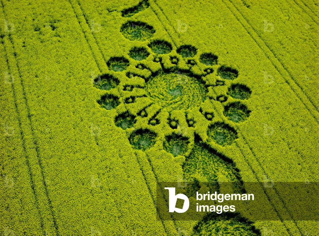 Crop Circles Close Up